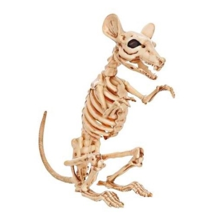 Crazy Bonez BIG Skeleton Rat Halloween Prop – Evil Soul Studios